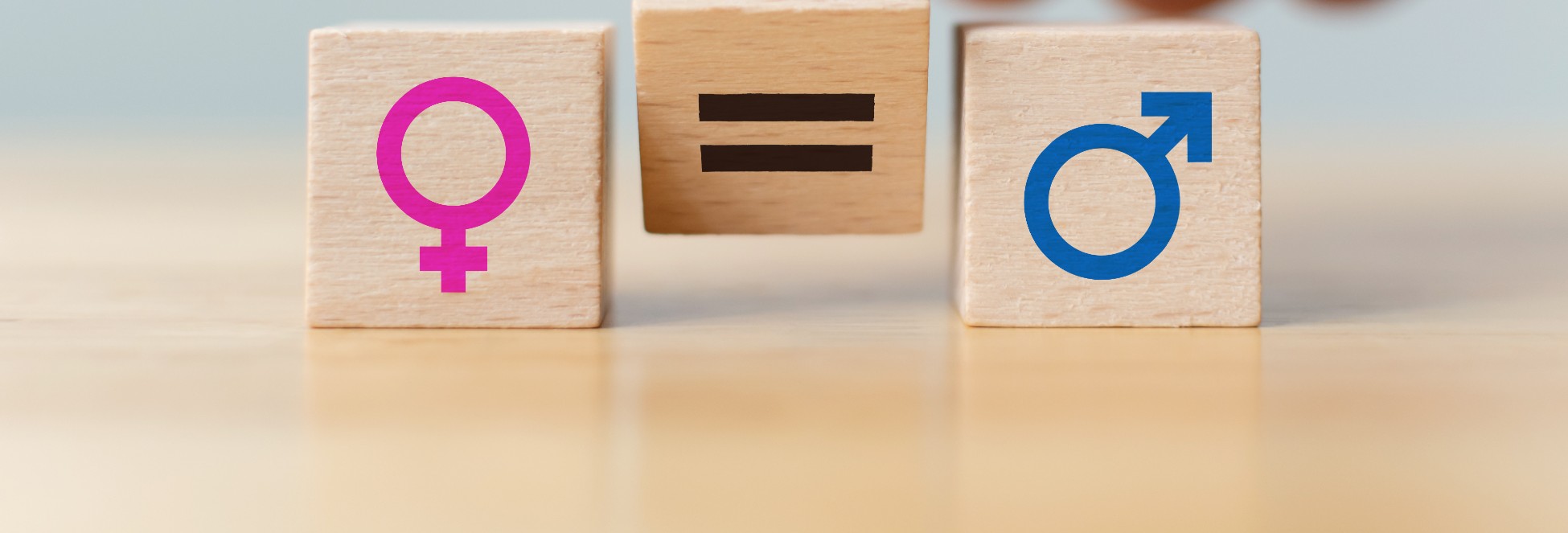 Groupe DLSI - Index égalité hommes/femmes 2022 | Groupe DLSI